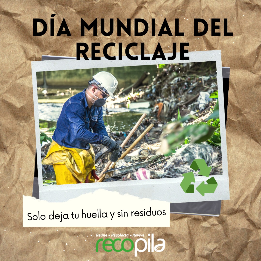 Sebastian Rave || marketing digital